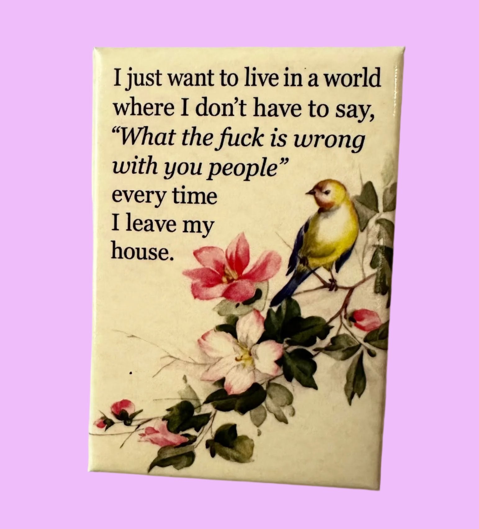 I Just Want To Live In A World Magnet – Hilarious Humanitarian