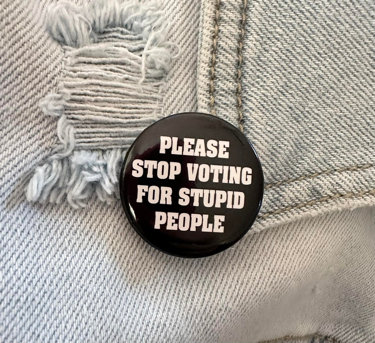 Please Stop Voting For Stupid People Button – Hilarious Humanitarian