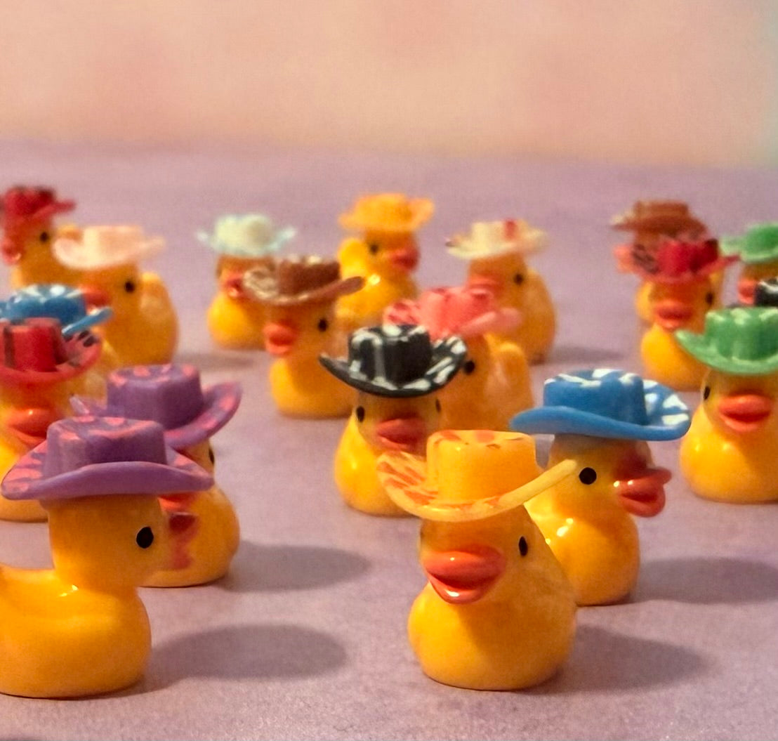 Cowboy/Cowgirl Mini Duck Surprise Pull – Hilarious Humanitarian