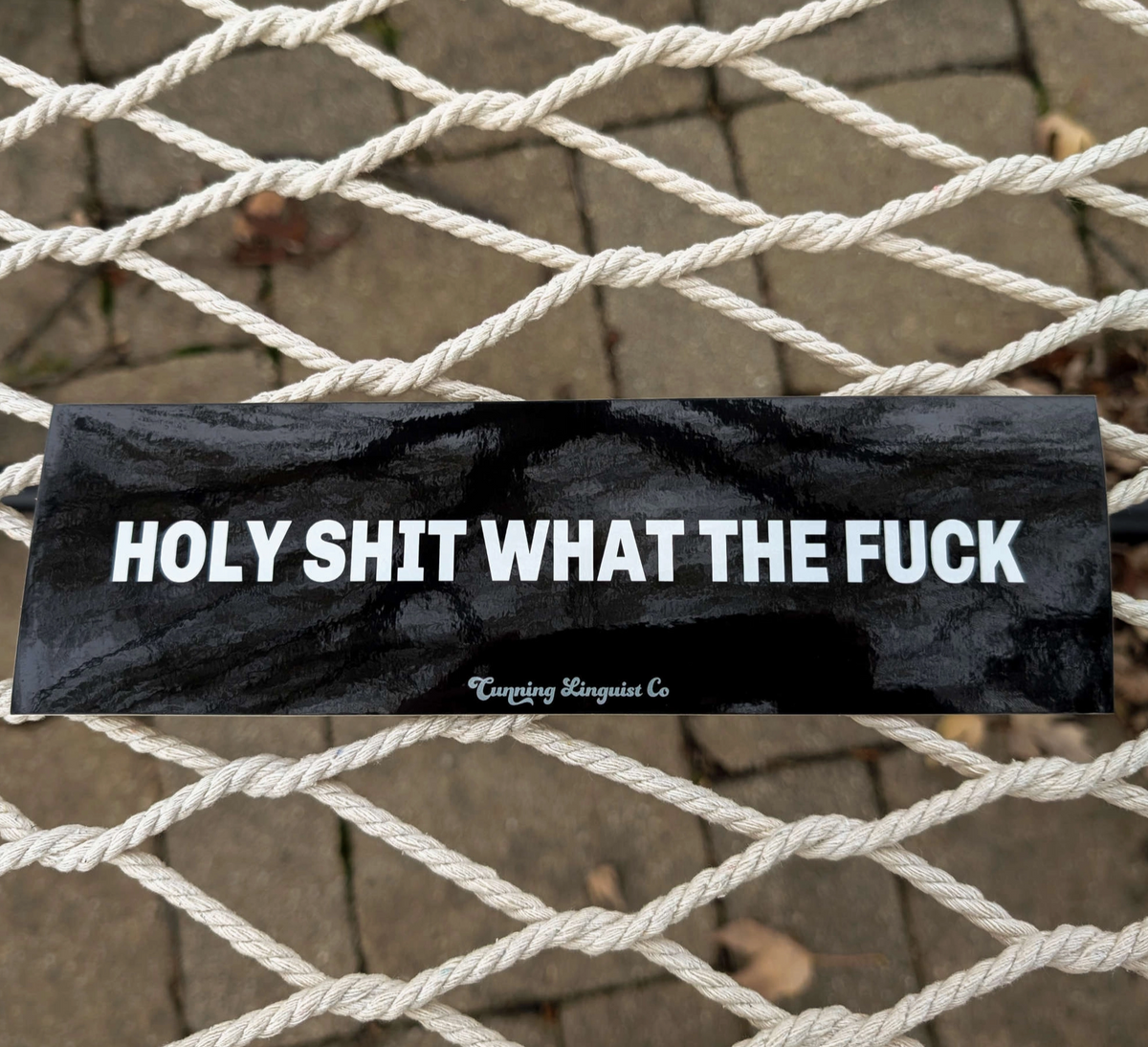 Holy Shit What The Fuck Bumper Sticker – Hilarious Humanitarian