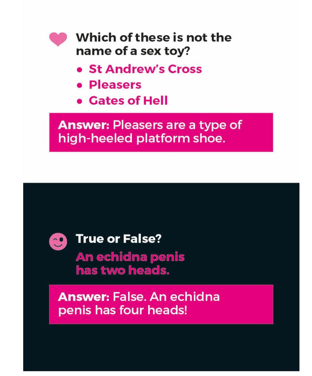 Filthy Minds: A Card Game to Test Your Naughty Knowledge – Hilarious ...