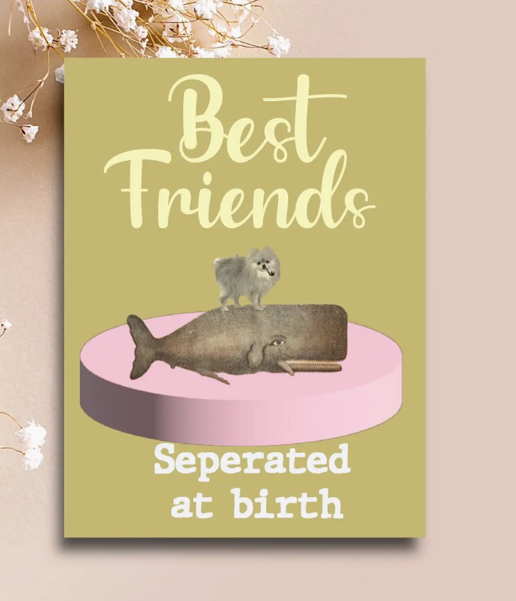 Best Friends Separated At Birth Card – Hilarious Humanitarian